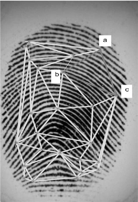 Figure 2 From Generating Cancellable Fingerprint Templates Based On