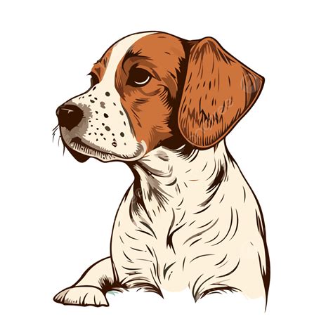 الكلب المخطط التفصيلي المتجه ملصق قصاصة فنية رسم كلب بيجل على كارتون