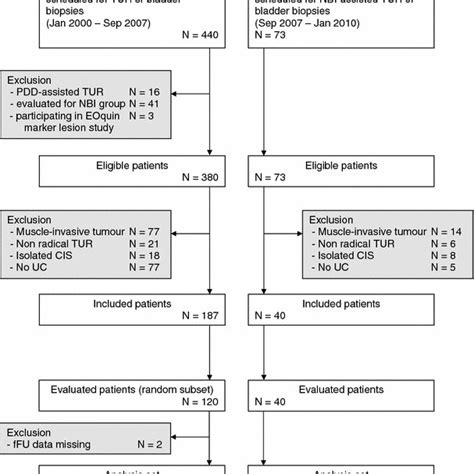 Flow Chart Of Patient Selection Tur Transurethral Resection Nbi Download Scientific Diagram