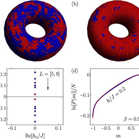 Large Deviation Statistics For The Three Dimensional Ising Lattice Download Scientific Diagram
