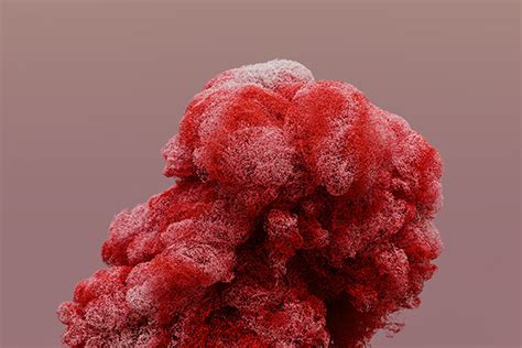 The Particle Convergence Behance