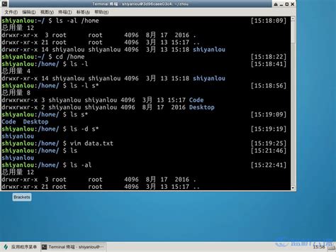 Linux操作命令一 蓝桥云课
