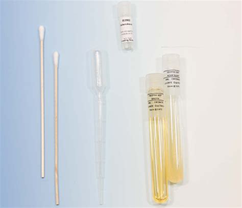 Escherichia Coli Bacteria Freeze Dried Culture Is3902