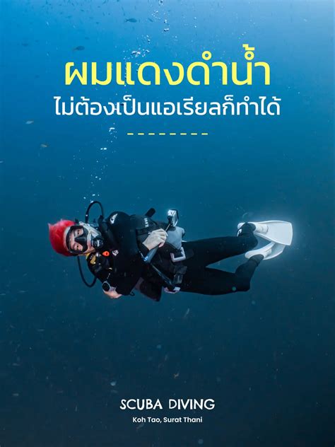 ผมแดงดำน้ำ ไม่ต้องเป็นแอเรียลก็ทำได้ 🧜🏽‍♂️ แกลเลอรีที่โพสต์โดย Balltasp Lemon8