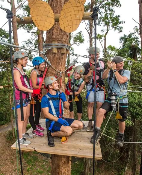 Tree Top Challenge SPARK POP