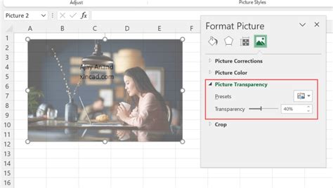 Make A Picture Transparent In Excel XL N CAD