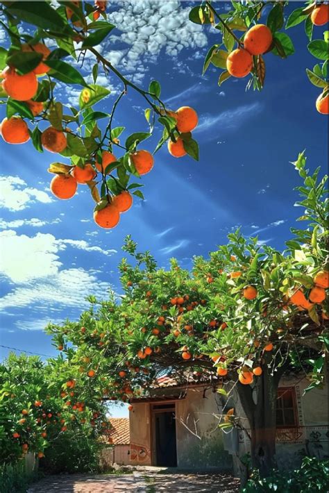 面试 深入了解浏览器渲染进程的工作方式 Javascript进阶之路 Segmentfault 思否