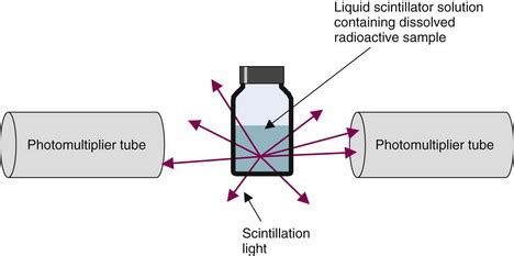 Radiation Detectors Radiology Key