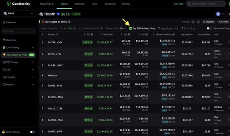 Just Shipped 🔥uncover The Top Traders By Profit For Any Token