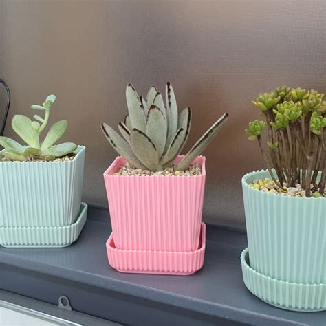 분갈이 플라스틱 빈화분 미니 플분 핑크 사각 온채널