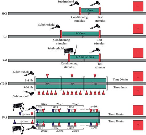 Schematic Representation Of Some TMS Measures And Protocols Of Download Scientific Diagram
