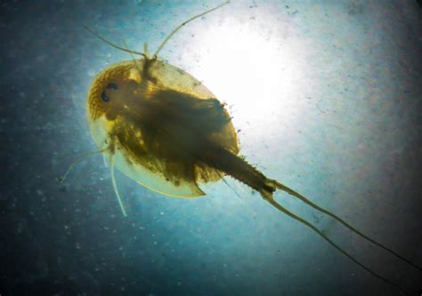 Naked Minecraft Girl Mj Twitter