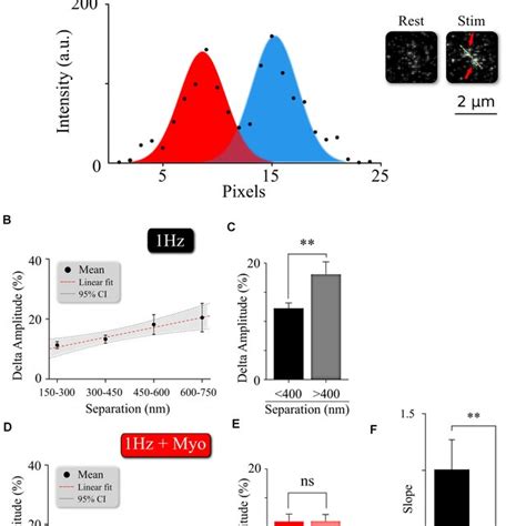 myosin v regulates temporal separation within mvr events a sample