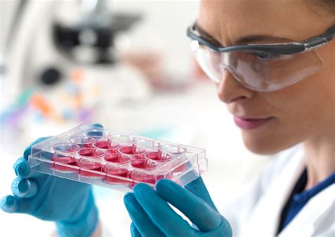 Proses Terapi Stem Cell Dari Konsultasi Hingga Pemulihan Jakarta