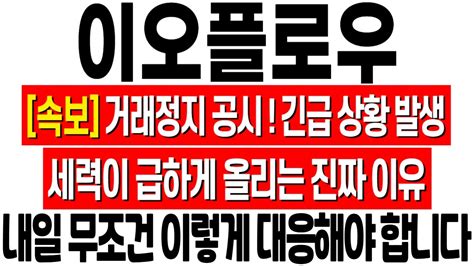 이오플로우 주가 전망 거래정지 공시 나왔습니다 세력이 급하게 올리는 진짜 이유 이오플로우 메드트로닉 이오플로우 김재진 이오플로우 유상증자 이오플로우 목표가