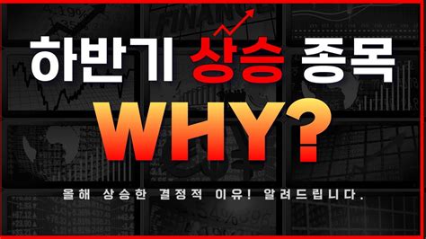 주식 하반기 집중 섹터 이 종목에 집중하세요 Youtube