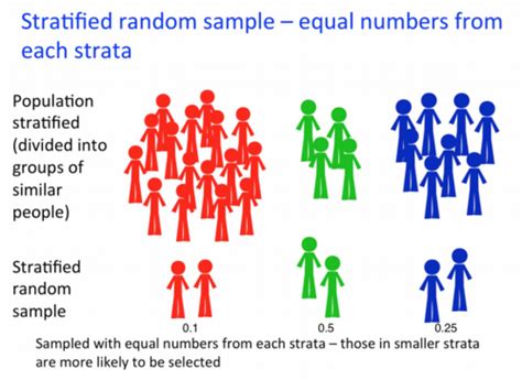 Sampling Exam Flashcards Quizlet