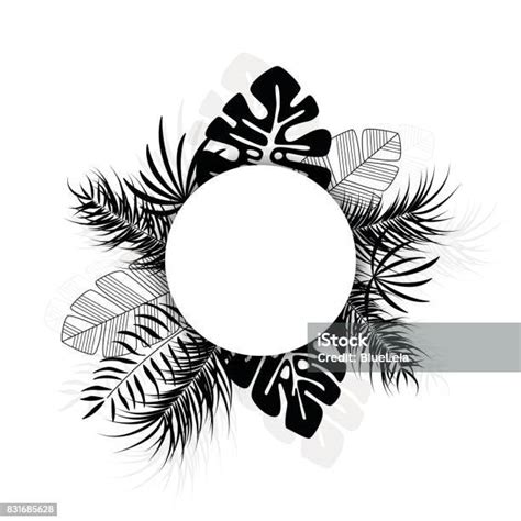 검은 종 려 잎 및 텍스트 벡터 일러스트 레이 션에 대 한 장소를 가진 백색 배경에 식물 열 대 디자인 0명에 대한 스톡 벡터 아트 및 기타 이미지 Istock