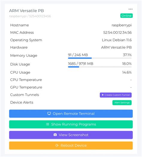 How To Access Your Raspberrypi From Anywhere In The World