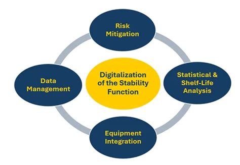 Digitized Vs Digitalization What Is The Difference Stabilityhub