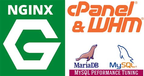 Setup Cpanel Whm Or Plesk With Nginx Php Fpm Mariadb Memcached Firewall By Node Fiverr
