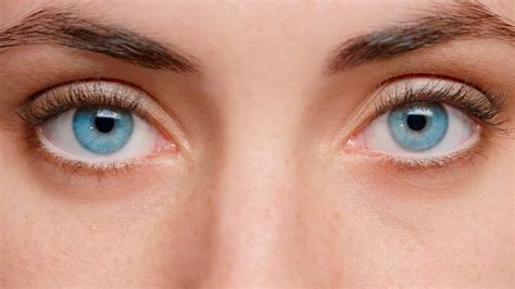 Do Blue Eyes See Better In The Dark This Is What Experts Say A Z Animals