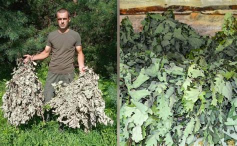 Лісівники Полтавщини заготовляють корми для диких тварин Решетилівщина Ua