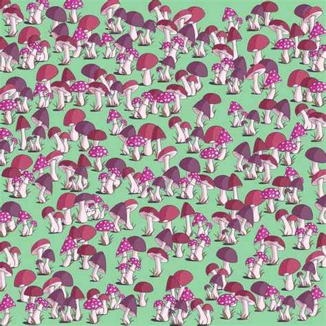 Find The Hidden Objects Quiz Spot In All 5 Images