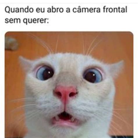 41 Memes E Imagens Engraçadas Para Status Do Whatsapp Dpopular