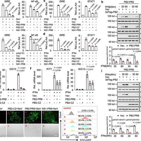 Iav Pb2 Protein Inhibits Ifn Signaling Pathway A B Luciferase Activity