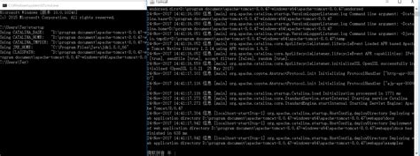 配置Tomcat环境变量 张子游zy 博客园