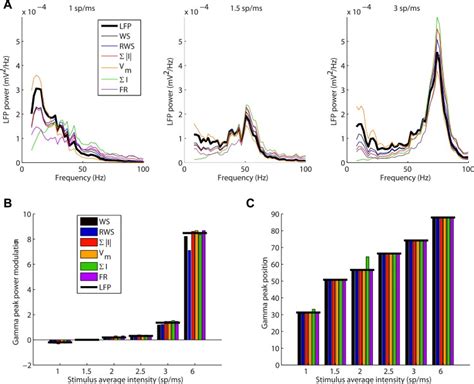 computing the local field potential lfp from integrate and fire