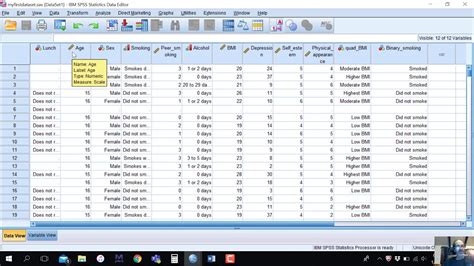 About SPSS data entry - YouTube