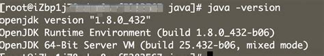 手动部署OpenJDK 云服务器 ECS 阿里云