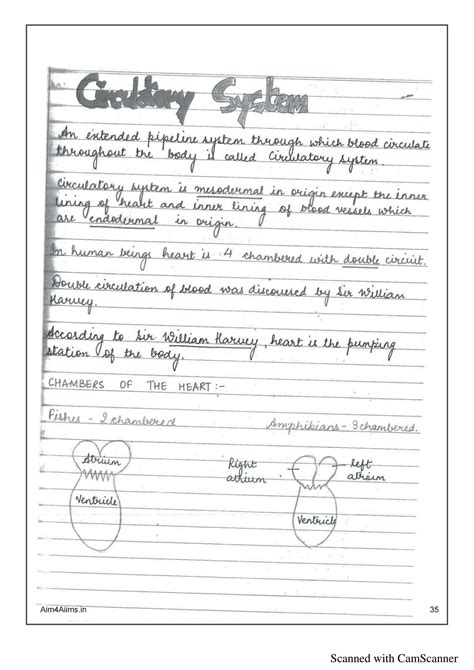SOLUTION Circulatory System Notes Studypool