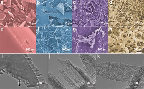 SEM Images Of CPC A E CHPC 0 50 B F CHPC 1 0 C G And GPC Download Scientific