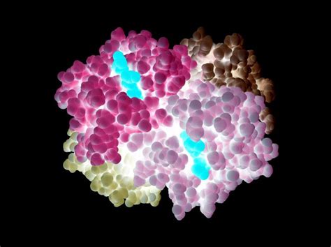 Genetic Engineering And Biotechnology News On Linkedin “transformer” Base Editor Safely And