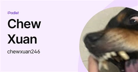 Chew Xuan Chewxuan246 Profile Padlet