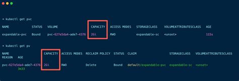 how to resize persistent volumes in aws eks cluster