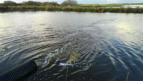 Surface Flow Constructed Wetlands As Phosphorus Sinks In Tile Drained Agricultural Areas