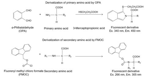 Analysis Of Amino Acids By On Line Pre Column Derivatization With Opa And Fmoc Using Rhplc