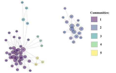 Results Of The Community Detection Algorithm For The Steel Grade