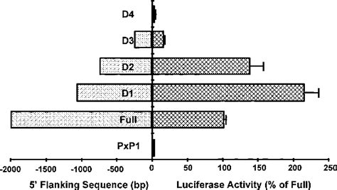 Figure 5 From Regulation Of Dhp Receptor Expression By Elements In The