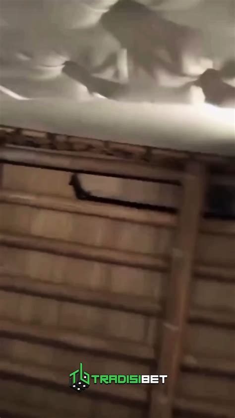 Chindo Goyang Ngebor Eporner