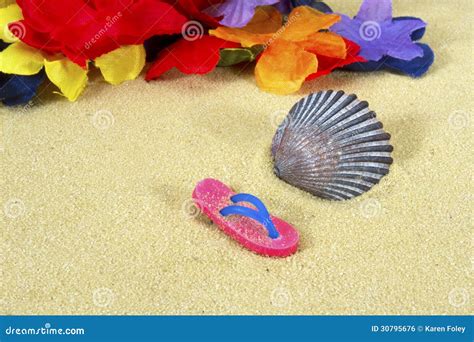 Sandalia De La Playa Con Shell Y Las Flores Tropicales Foto De Archivo