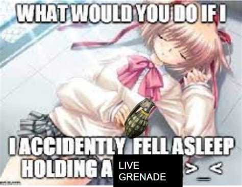 Best R Rodentintercourse Images On Pholder Omg