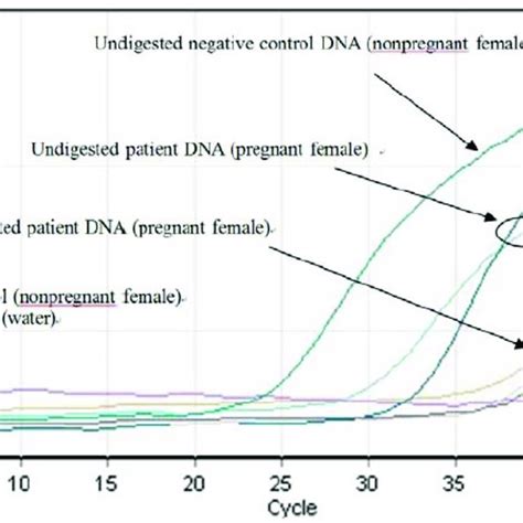 Pdf Noninvasive Fetal Rhd Genotyping Using Cell Free Fetal Dna Incorporating Fetal Rassf1a
