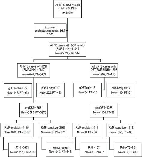 Flow Diagram Showing Drug Susceptibility Testing Of Mycobacterium Download Scientific Diagram