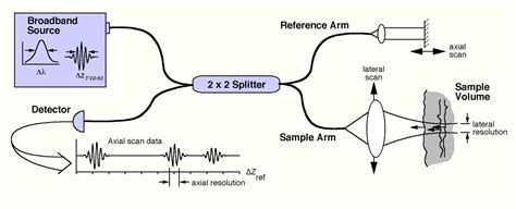 A Guide To OCT Learn Share Leica Microsystems