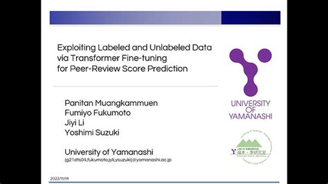 Underline Exploiting Labeled And Unlabeled Data Via Transformer Fine
